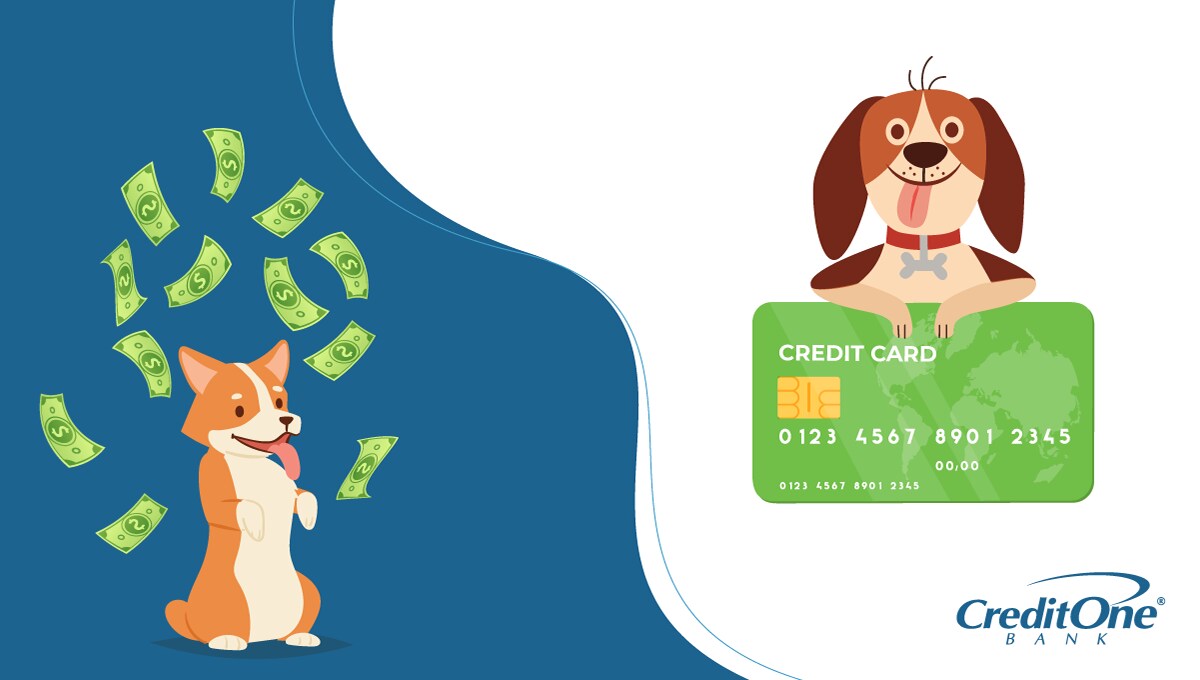 What a Pet Credit Card Is | Credit One Bank