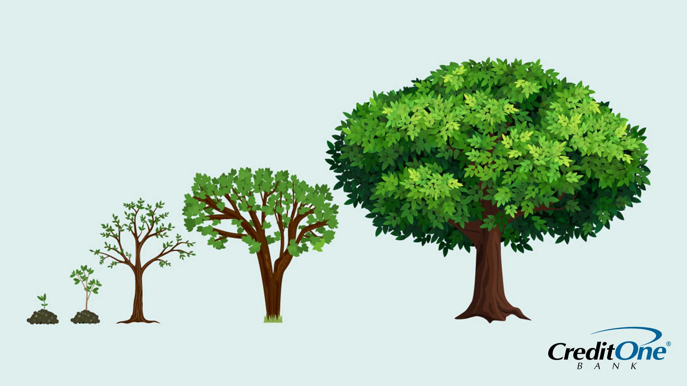 Average Credit Score by Age in the U.S. 2019 | Credit One Bank